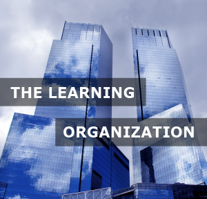 Learning Organization Che Cos è E Come Deve Essere Costruita